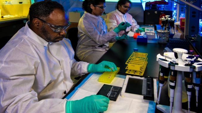 The Role of Synthetic Biology in Modern Healthcare Solutions - Fact Bios