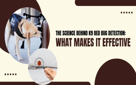 The Science Behind K9 Bed Bug Detection: What Makes It Effective - Fact ...