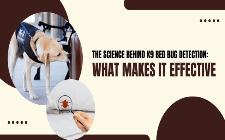 The Science Behind K9 Bed Bug Detection: What Makes It Effective - Fact ...